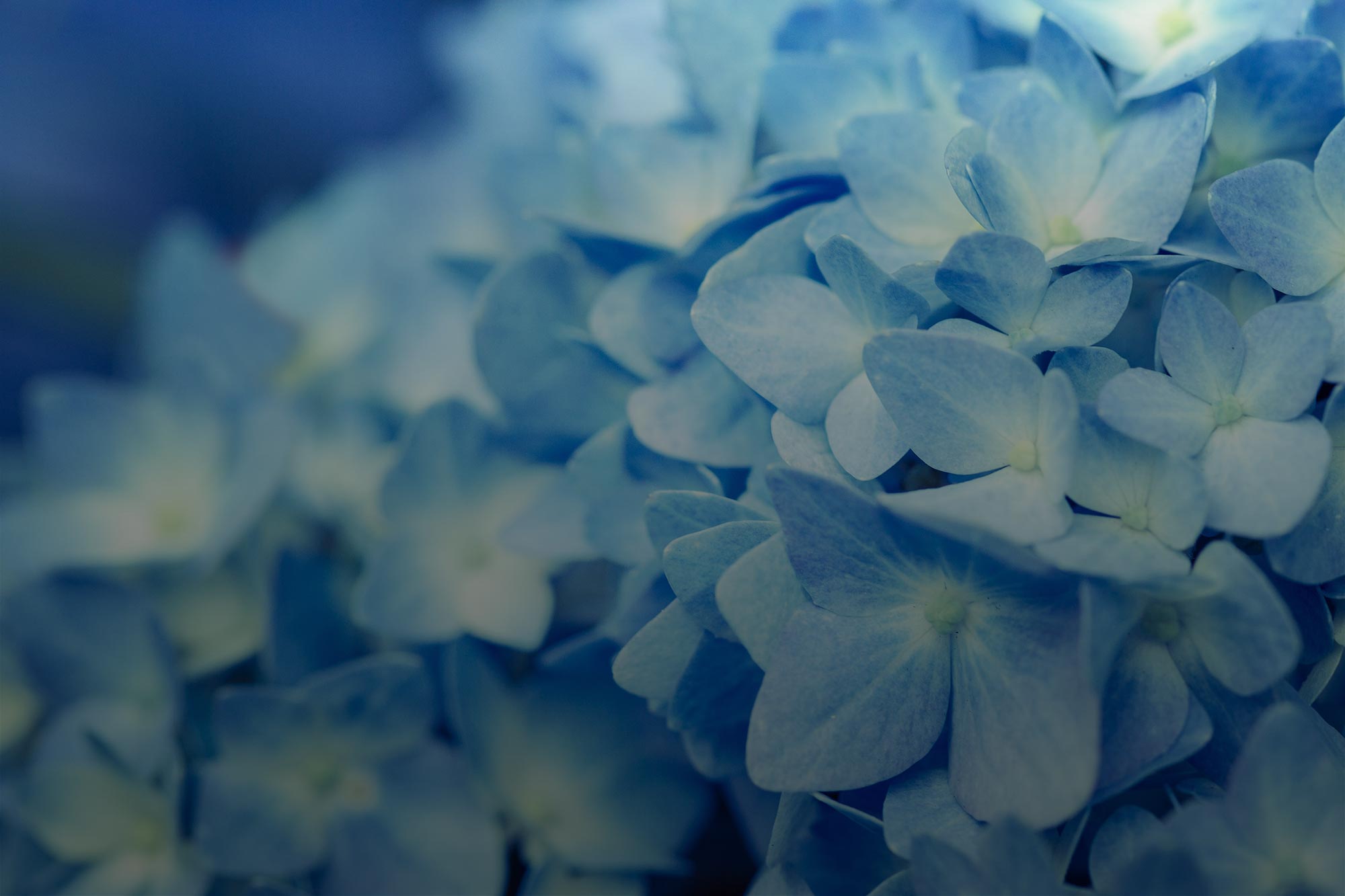 Spring Fertility Press and Media Mentions