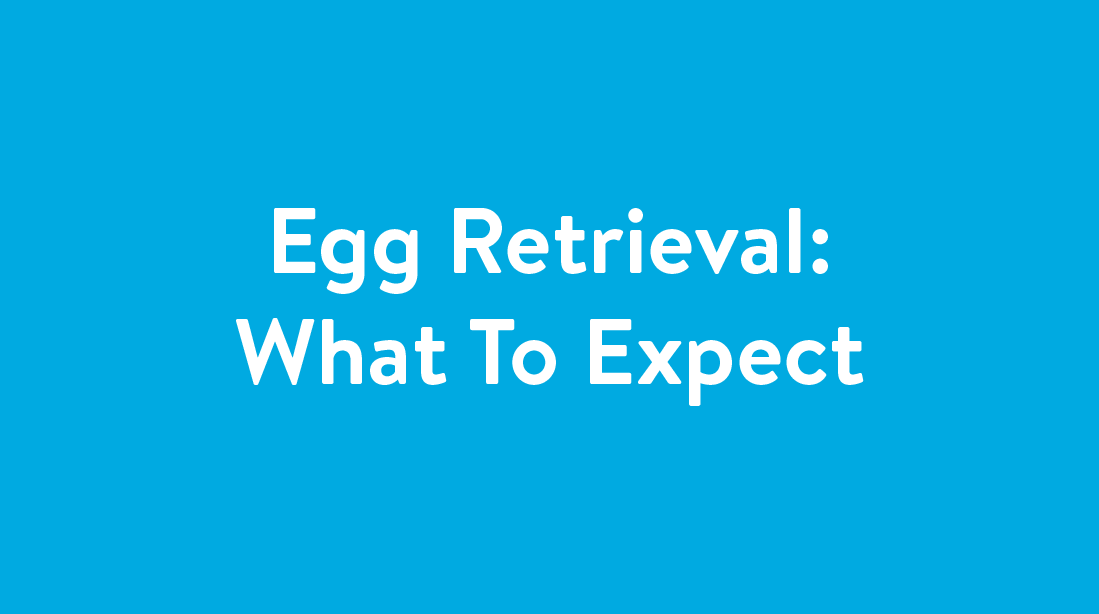 Egg Retrieval: What to Expect - Spring Fertility