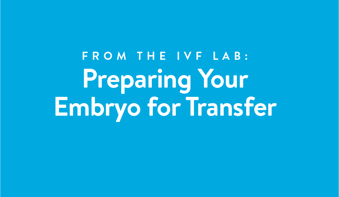 From the IVF Lab: Preparing Your Embryo for Transfer - Spring Fertility