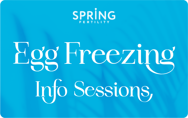 The Egg Retrieval Process: How it Works - Spring Fertility